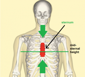 The 100% Correct Arm Position for Blood Pressure Measurement Explained ...